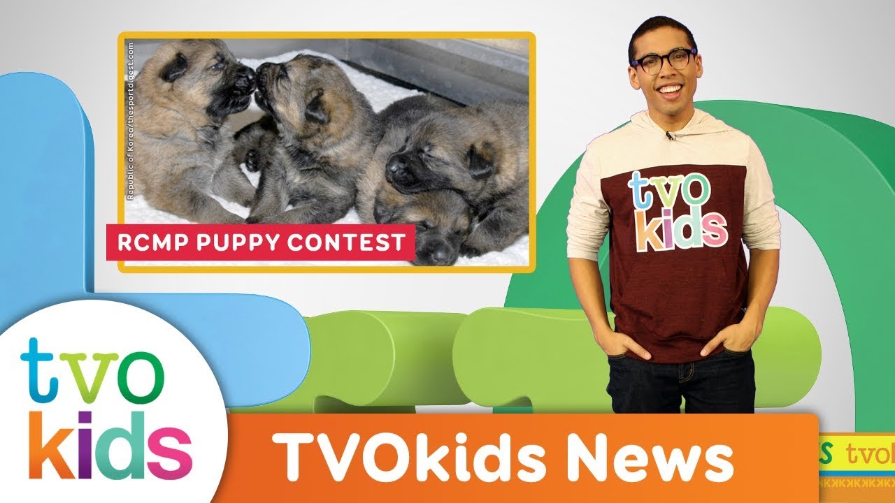 TVOK News -Week of Feb. 14 - YouTube