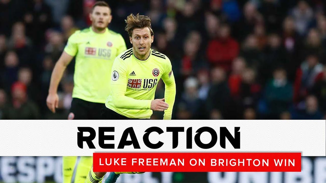 Luke Freeman | Brighton and Hove Albion v Sheffield United | Reaction ...