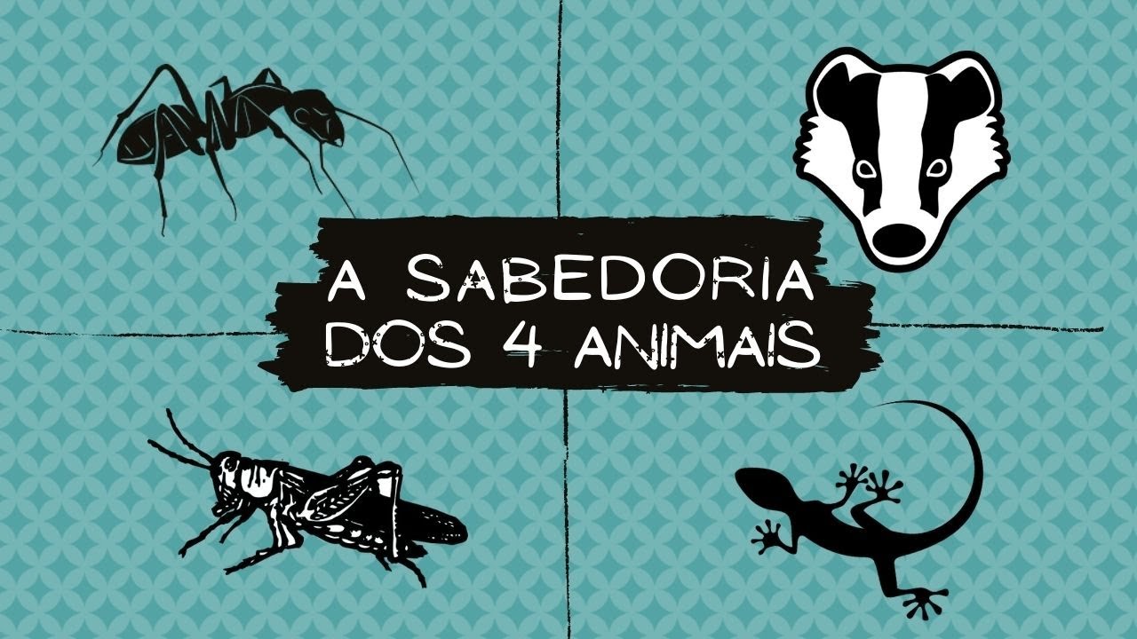 A sabedoria dos 4 animais - YouTube