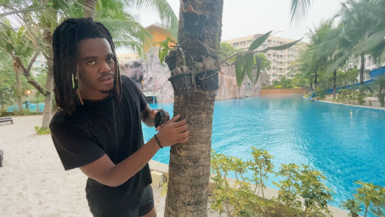 ASMR AT BEACH RESORT 🏝 (public asmr) - YouTube