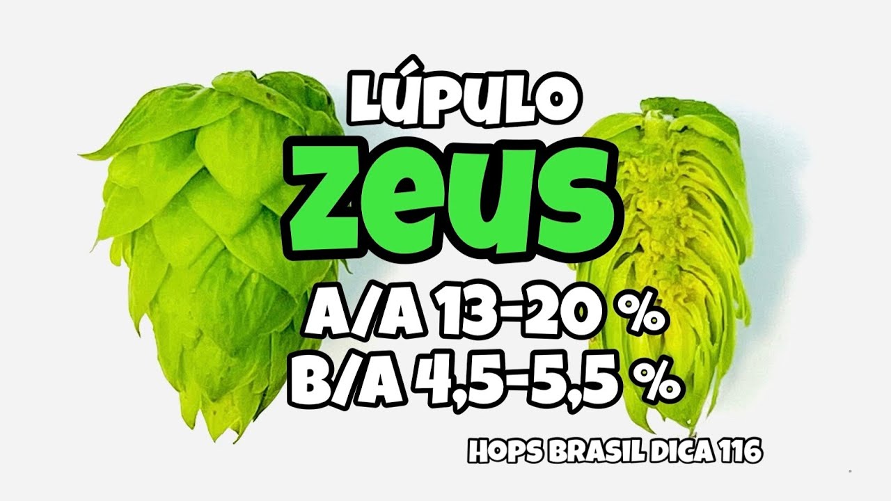LÚPULO ZEUS - HOPS BRASIL DICA 116 - YouTube