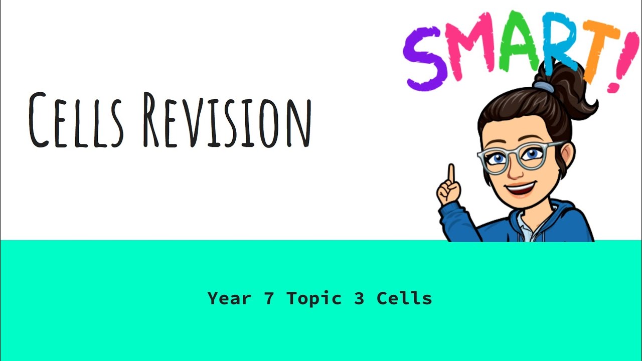 Year 7 Cells revision - YouTube