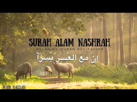 surah alam nashrah | Surah al inshira Quran Recitation *Mair Hassan*