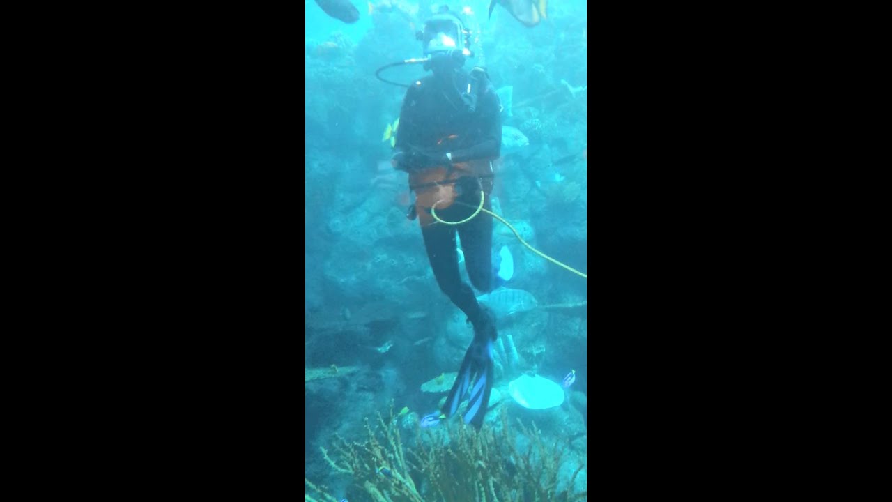 How Jessica got her start as a scuba diver - YouTube