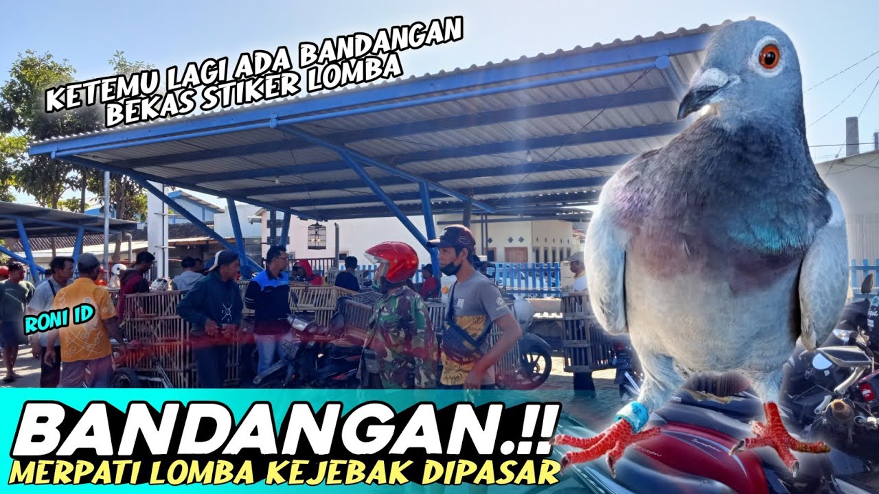 🔴GREBEK PASAR PANJI KETEMU BANDANGAN MURAH; POS RACING MEGAN BETINA ...