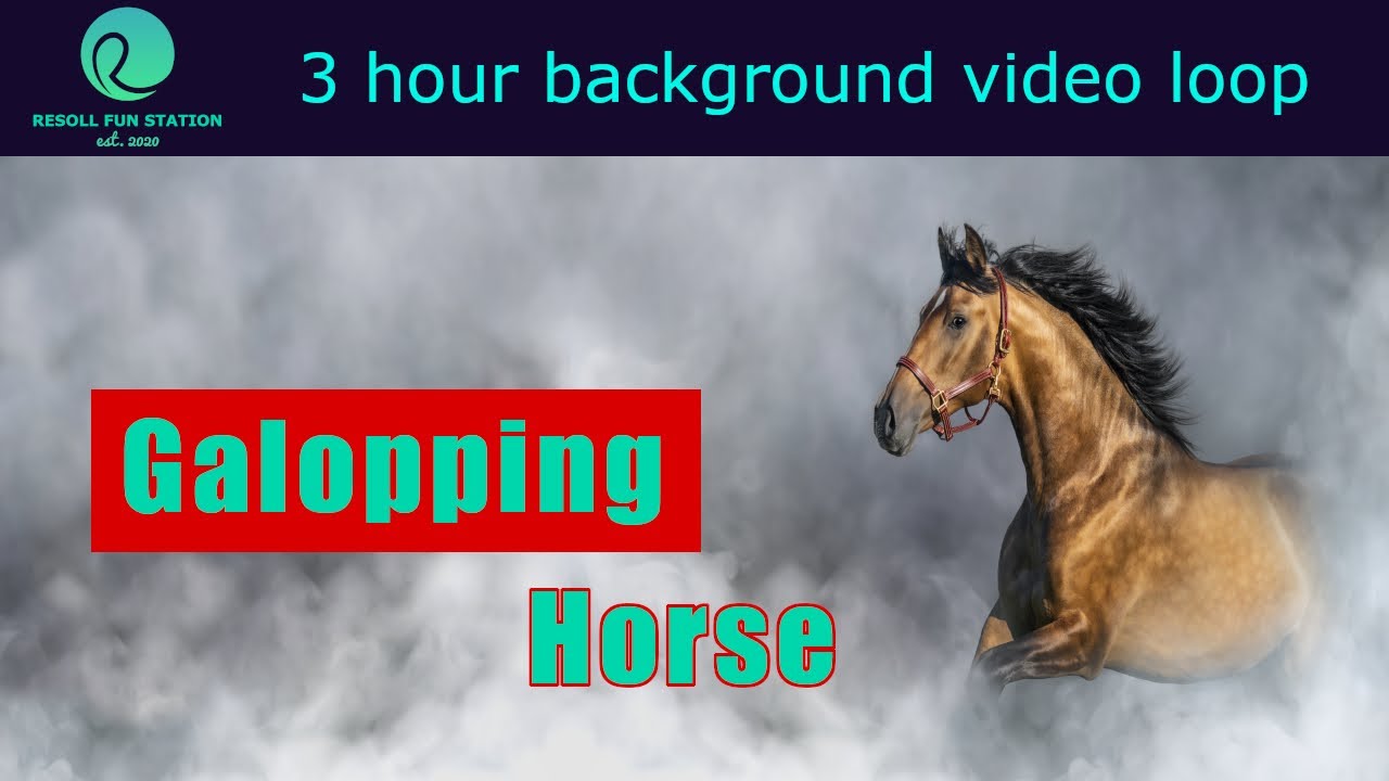 Equestrian Girl on Galloping Horse 3 Hours Background Video Loop ...