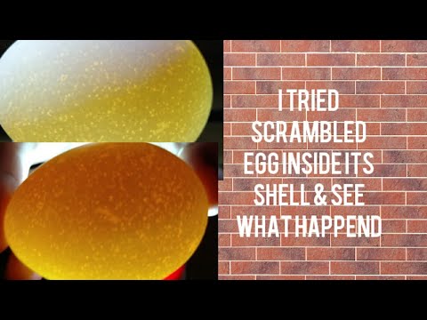 I tried scrambled egg inside its shell - YouTube