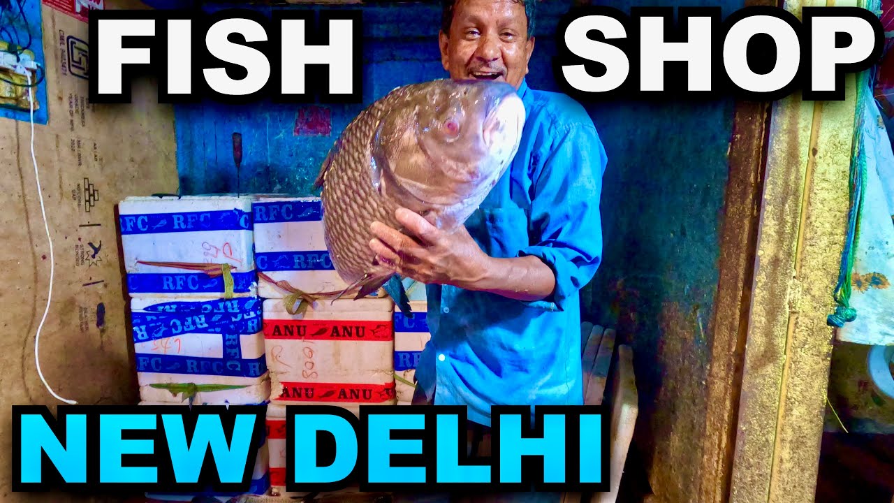 물고기&웃음 가득한 뉴델리 생선가게 / Happy Fish Shop in New Delhi | Indian Fish Shop ...