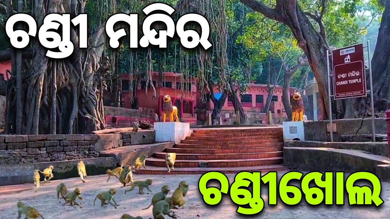 Chandi Temple | Chandikhol Jajapur Odisha - YouTube