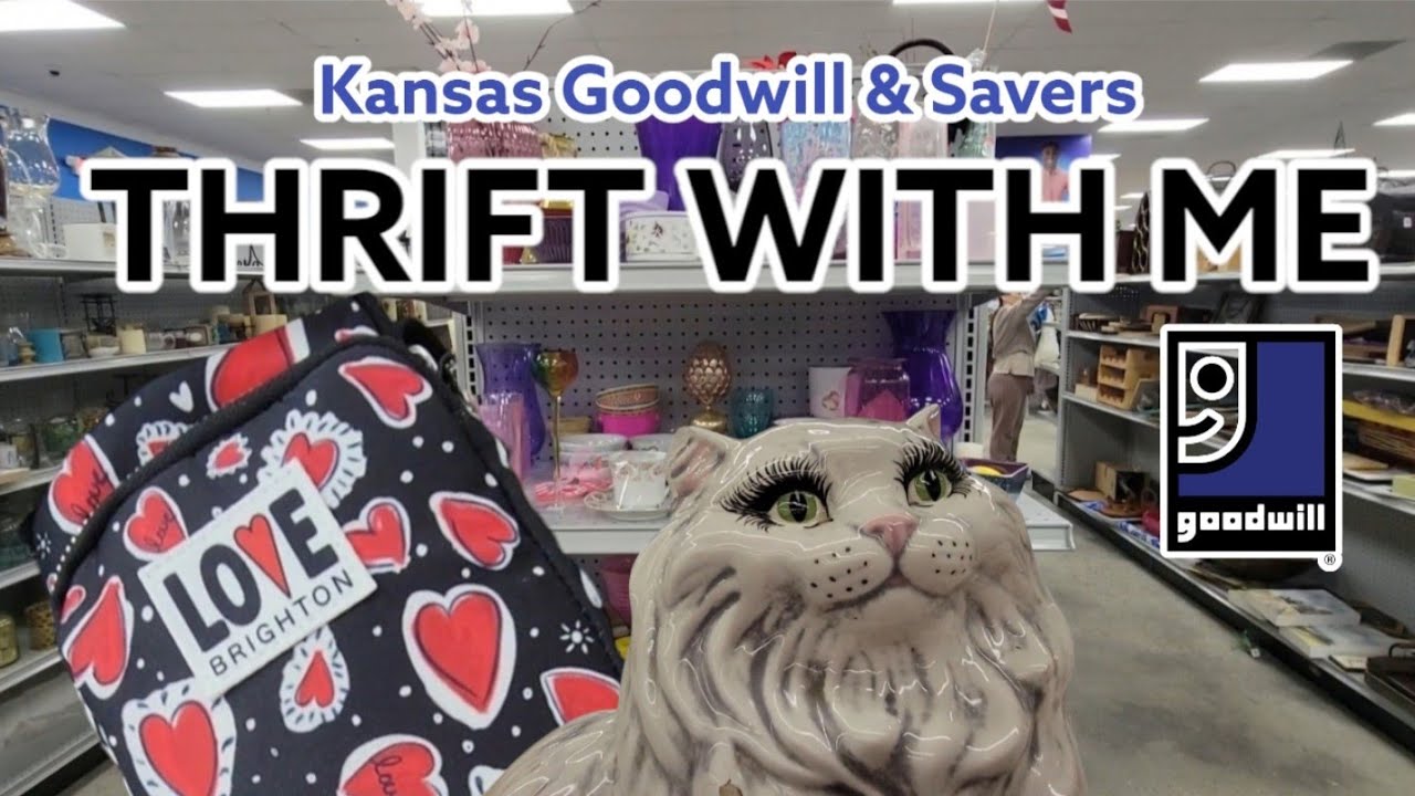 You know We're Getting That! Goodwill & Savers Thrift With Me! Spring ...