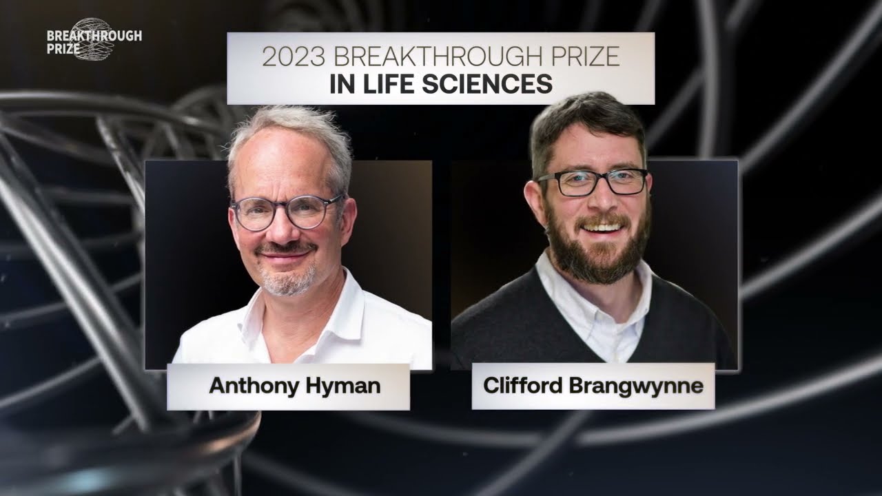 Clifford Brangwynne and Anthony Hyman: 2023 Breakthrough Prize Life ...