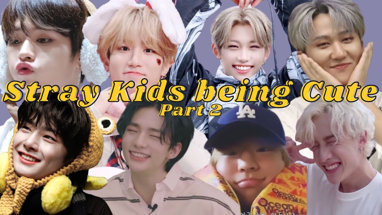 Stray Kids being Cute Kids pt. 2 - YouTube