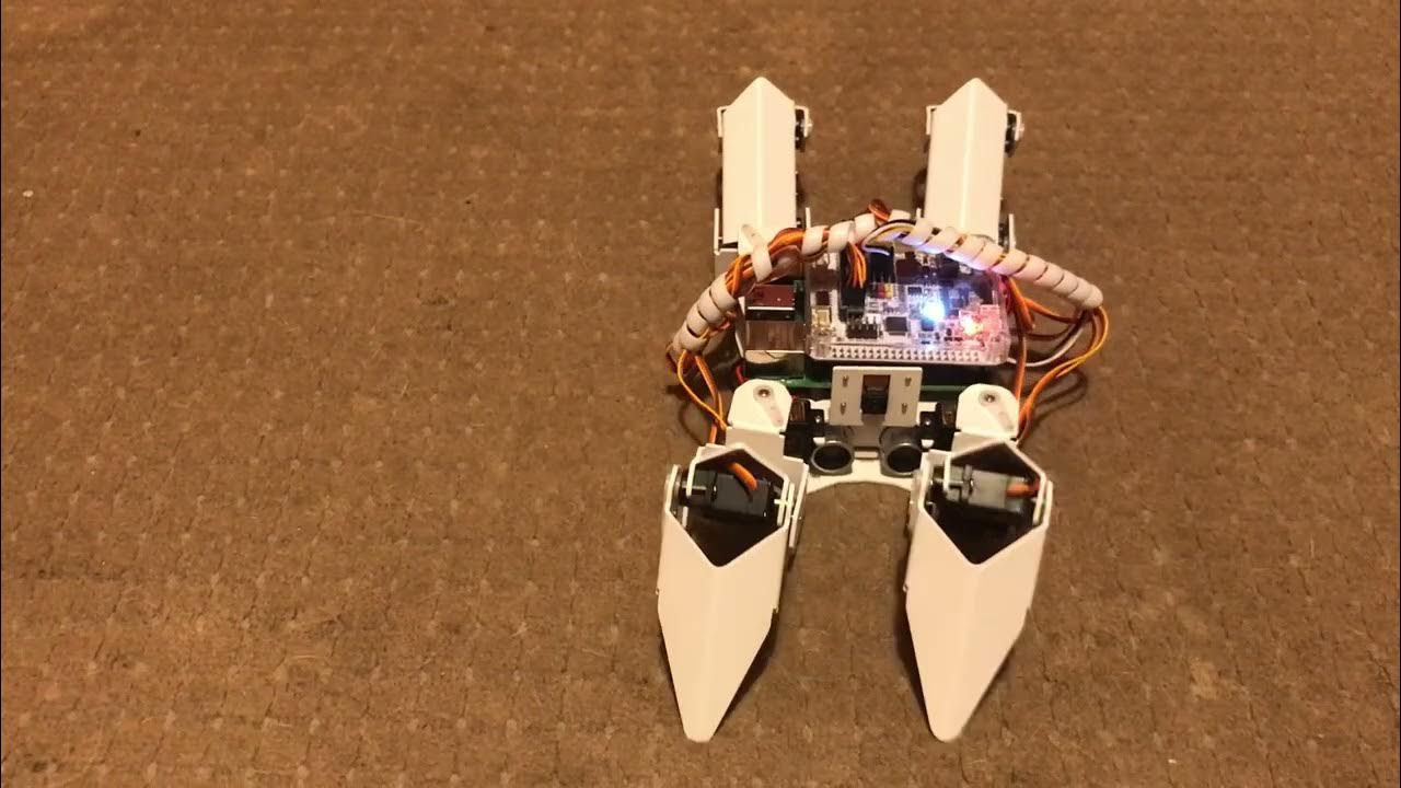 Sunfounder Pi Crawler - YouTube