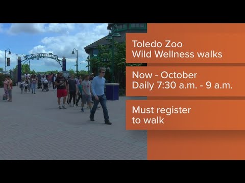 Take a morning walk at Toledo Zoo - YouTube
