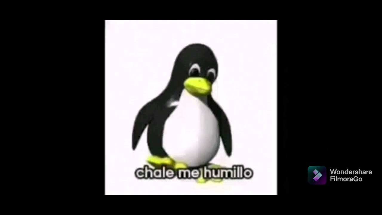 chale me humilló al revés 😎 🤙 - YouTube