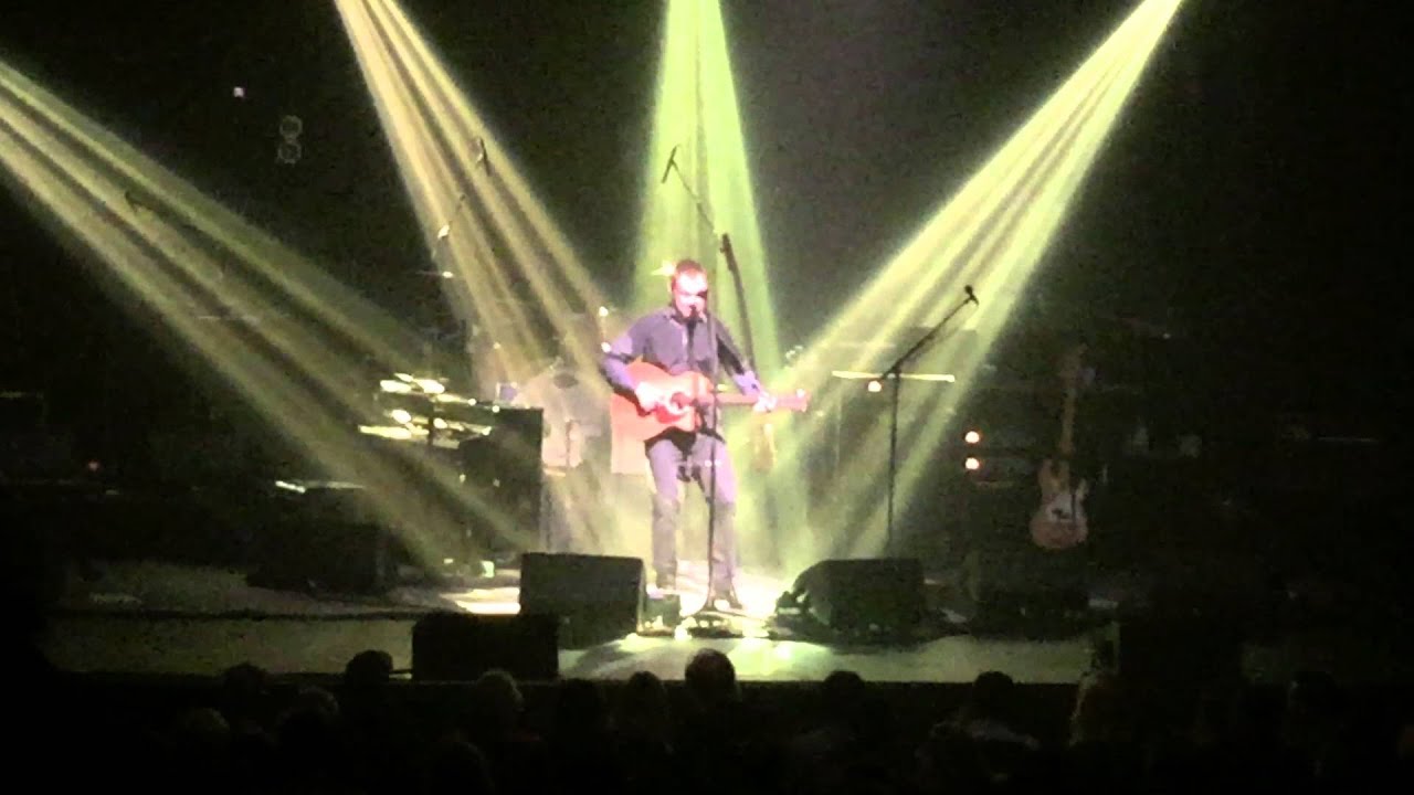 David Gray - Shine - YouTube