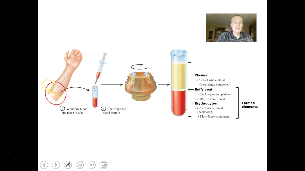 Blood Part 1 - YouTube