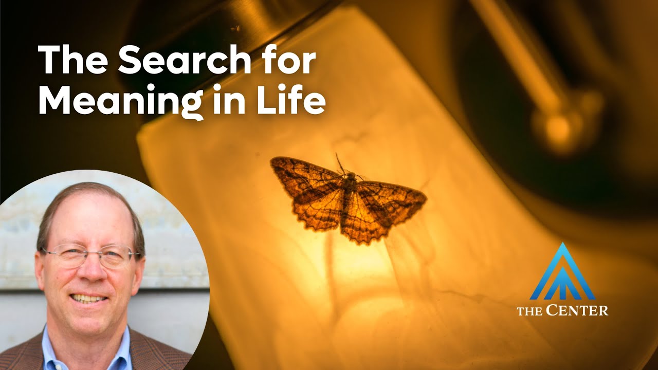 The Search for Meaning in Life - YouTube