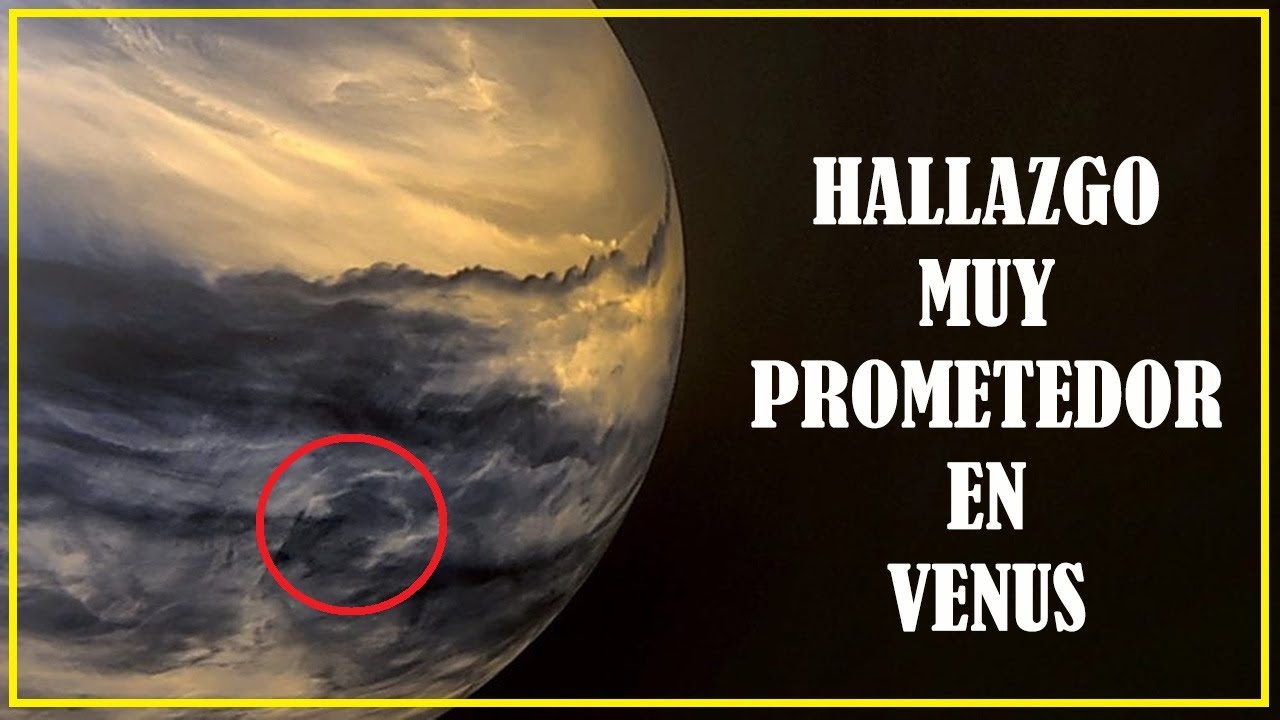 La NASA Detectó Indicios de VIDA en VENUS hace 43 años y NADIE se dio ...