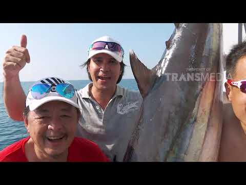 MANCING MANIA | MAMA DOGGIE DARI LAUT FLORES (23/12/18) PART 2
