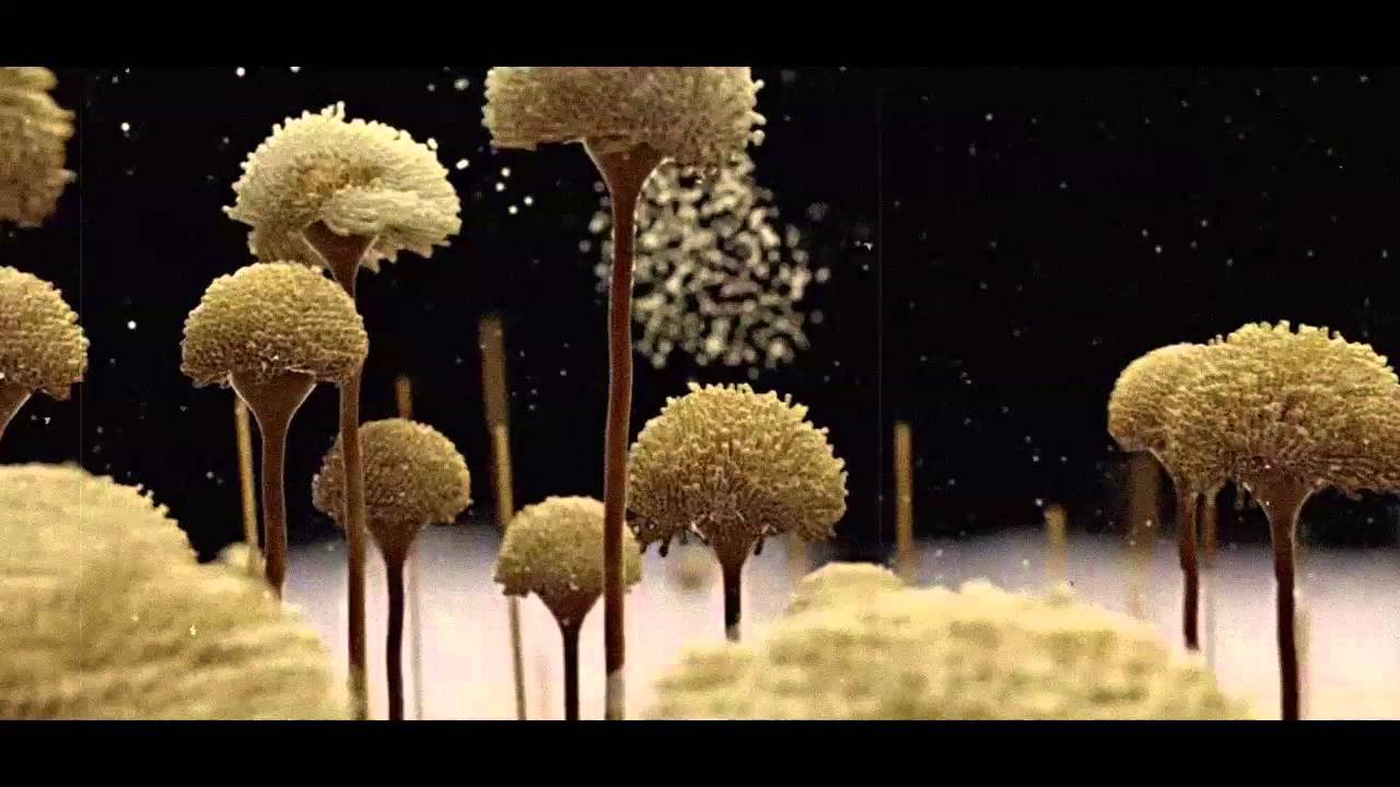 David Shvartsman showreel 2015 - YouTube