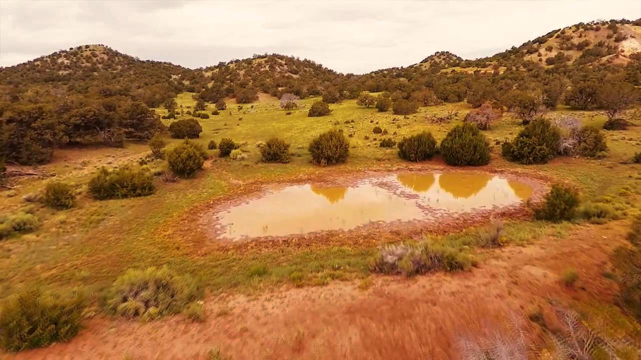 Blue Hills Elk Ranch Presented by Premier Ranch Properties HD - YouTube