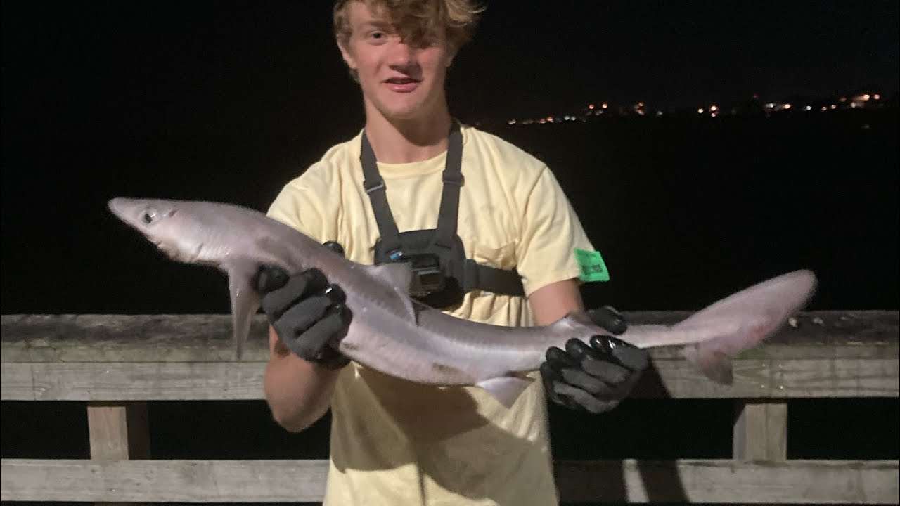 Night fishing targeting kingfish,Spot,Croaker, and shark - YouTube