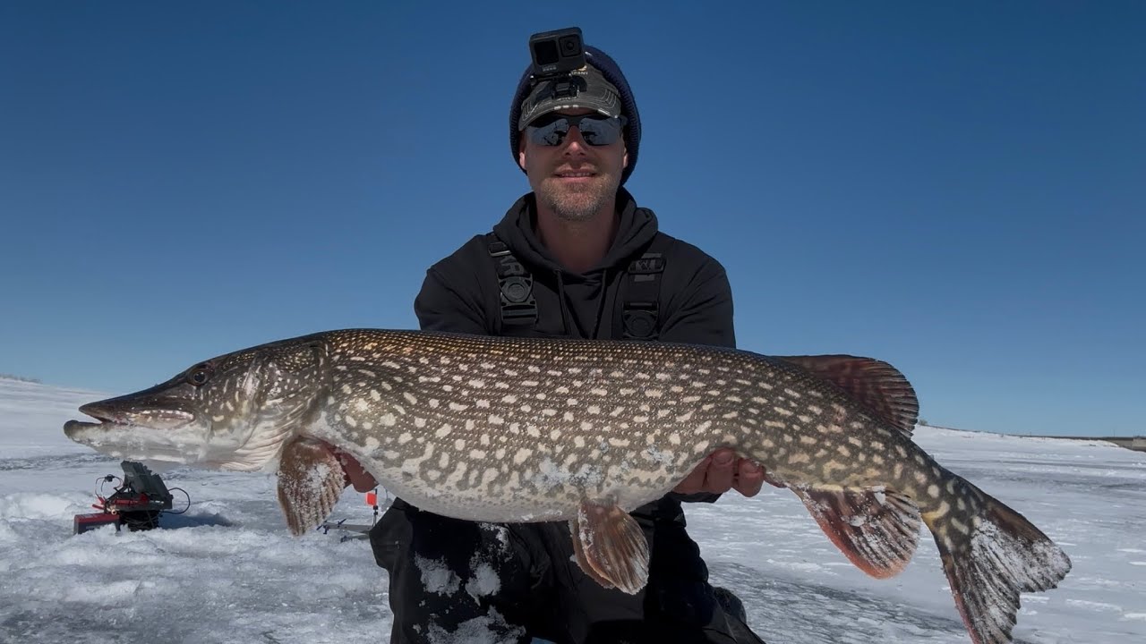 Ice Fishing For Big Pike With an UnderWater Camera!! - YouTube