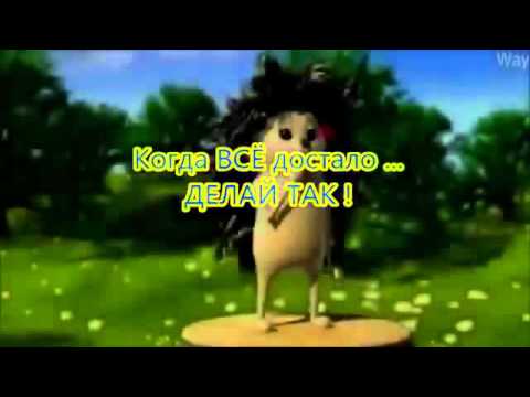 Блатной ёжик советую смотреть