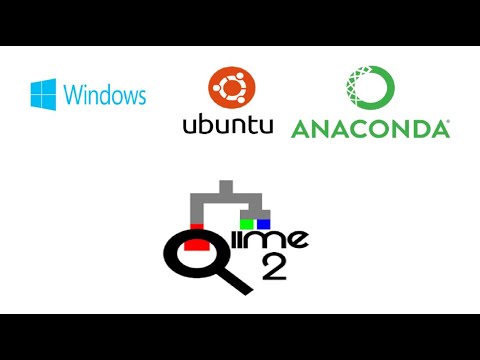 How to install Qiime2 via WSL (Arabic) | كيفية تنزيل Qiime2 على نظام تشغيل ويندوز - YouTube