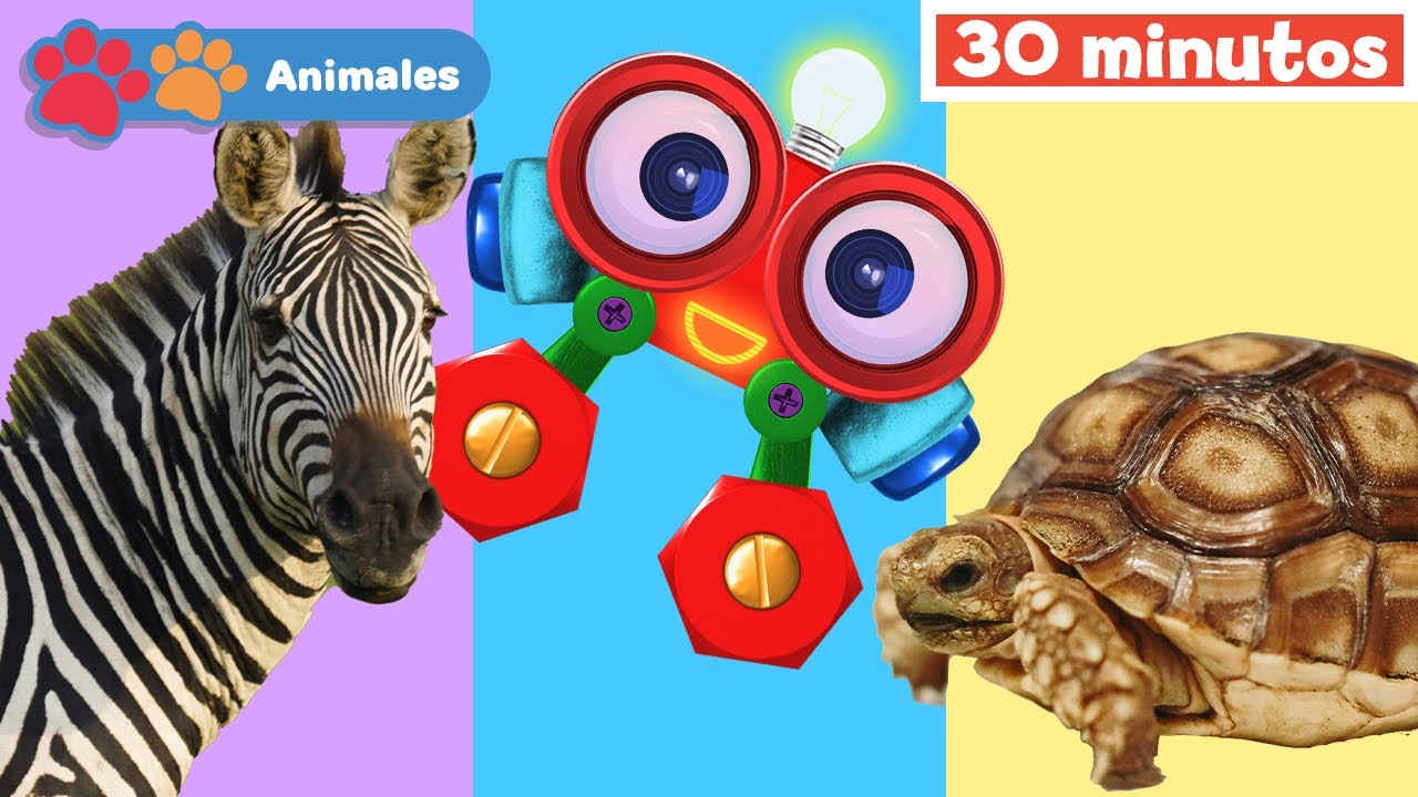 Mis Amigos Animales con Robi | Aprender animales | Educación para bebés ...