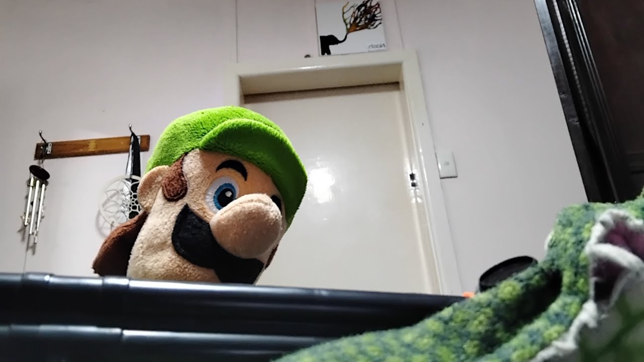 Luigi doing this! (Again.) - YouTube