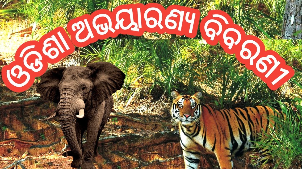 List of Wildlife Sanctuary II odisha abhayaranya history odia II ...