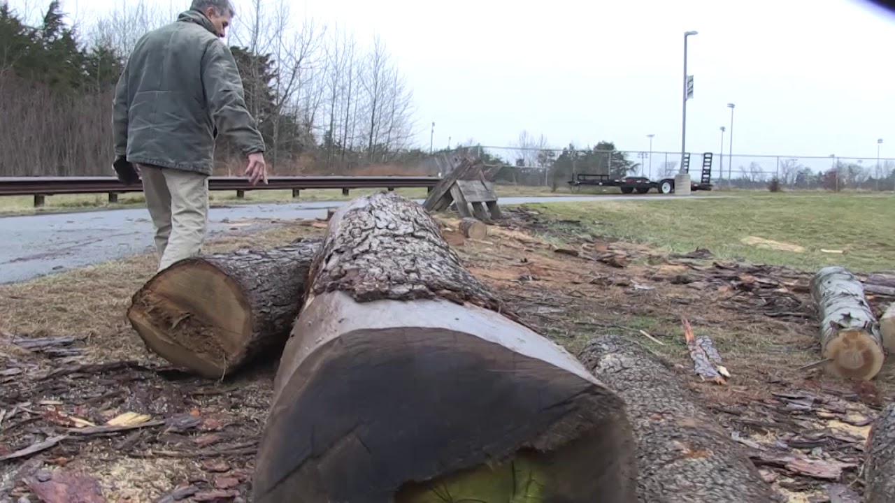 Paul Chirico Lumber and Milling - YouTube