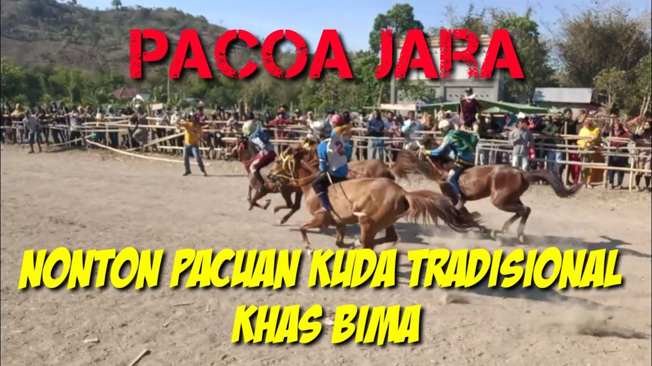 Serunya Nonton Pacuan Kuda Tradisional Bima - YouTube