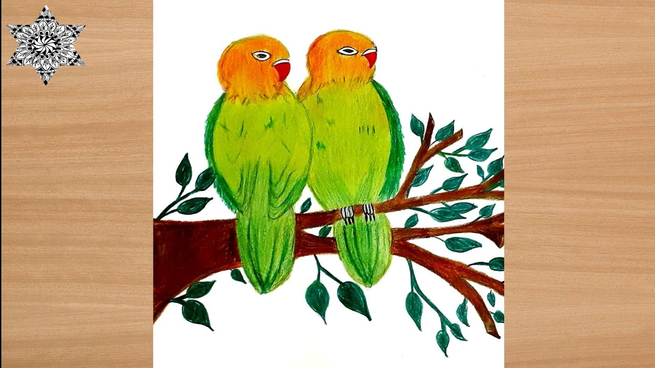 How To Draw Two Parrots On A Branch Of Tree || Step By Step Drawing ...