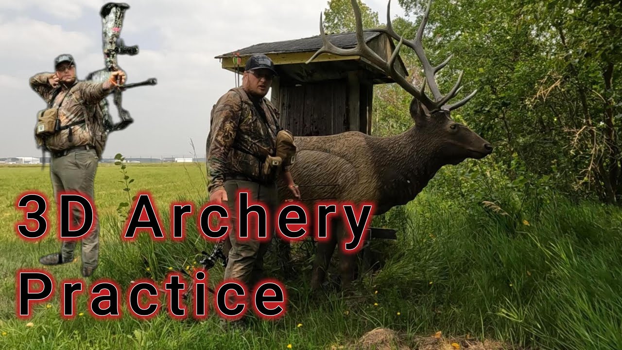 3D Archery Shoot #totalarcherychallenge - YouTube