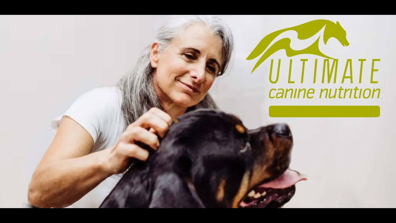 The Ultimate Canine Nutrition Story - YouTube