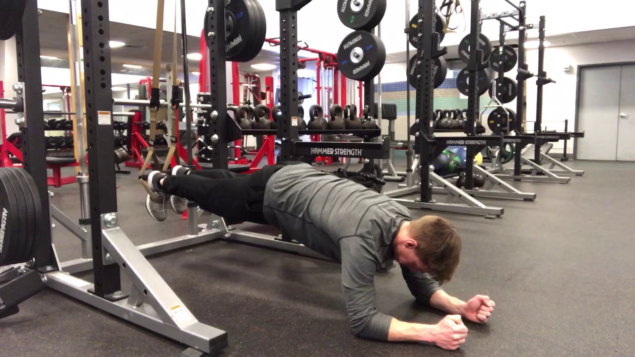 Dynamic Pillar Bridge (TRX) - YouTube