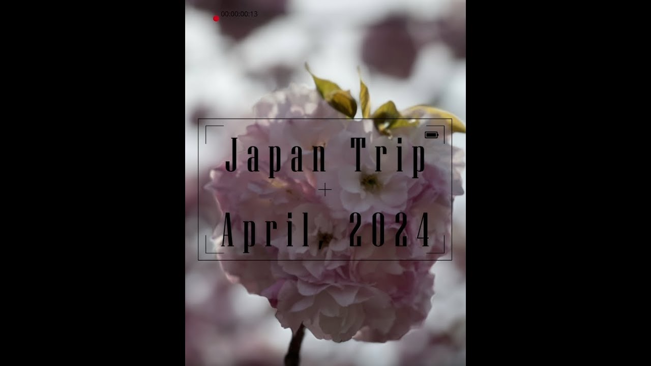 Solo-Travel Japan April 2024 - YouTube
