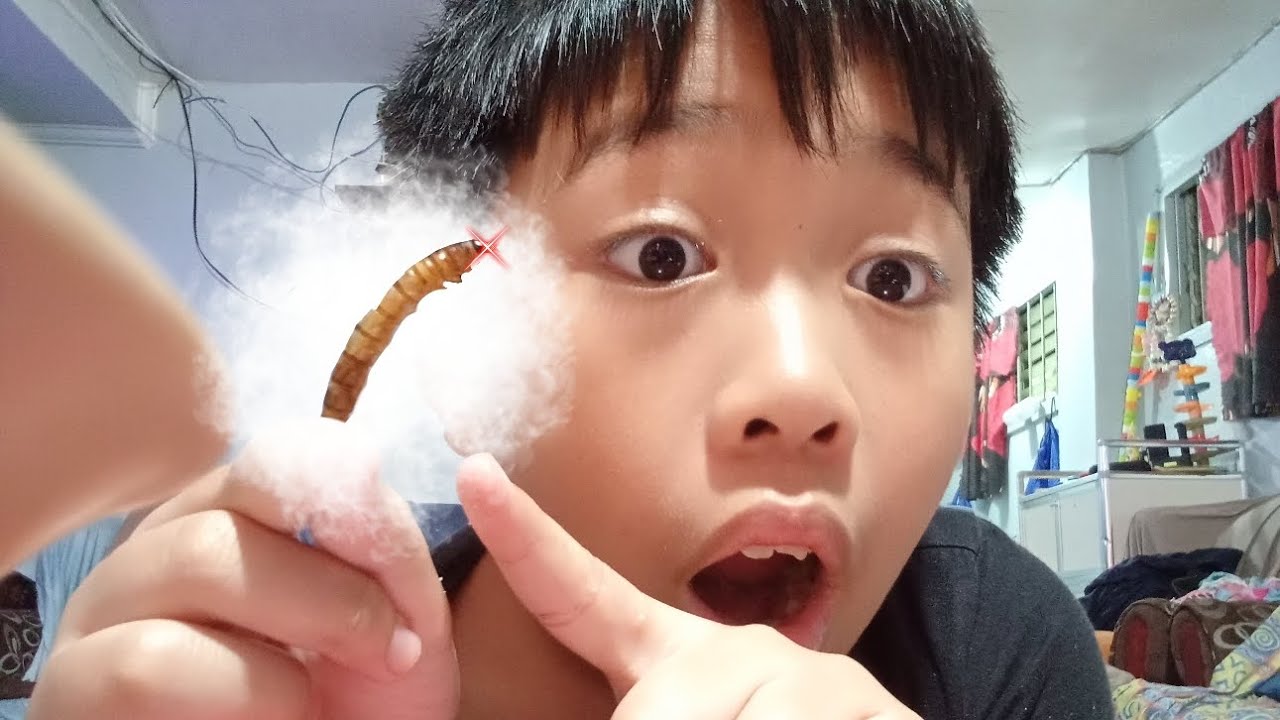 eating chichaworms 🐛 - YouTube