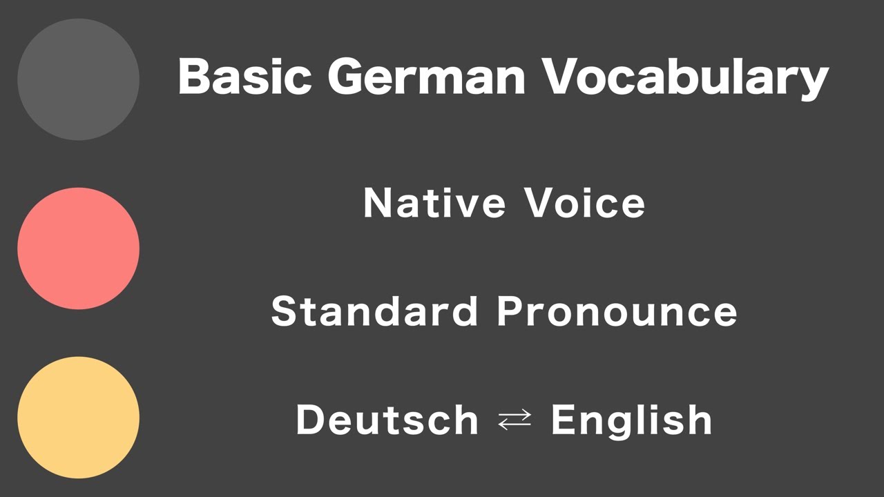 Basic German Vocabulary Vol.1 Words and Phrases 🍺 Learn German with ...