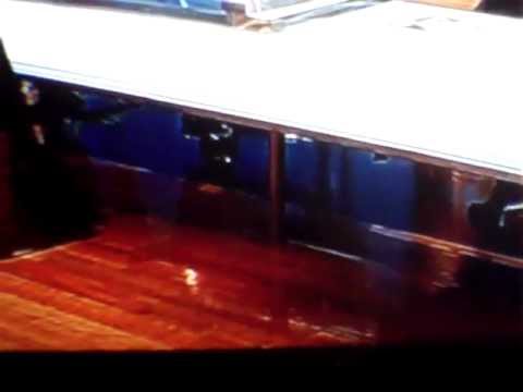 Nazi SS Type Button On American Politician?