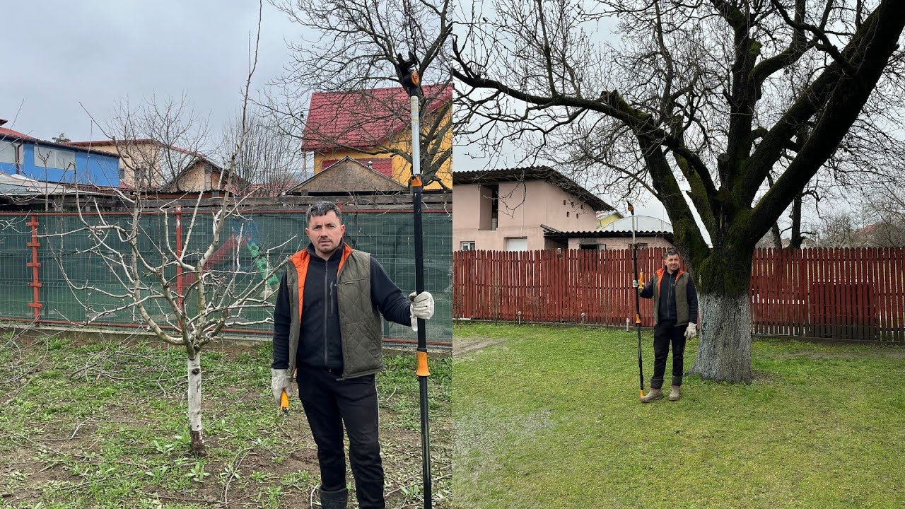 Curățarea parului cu ax central 🍐 🤗 - YouTube