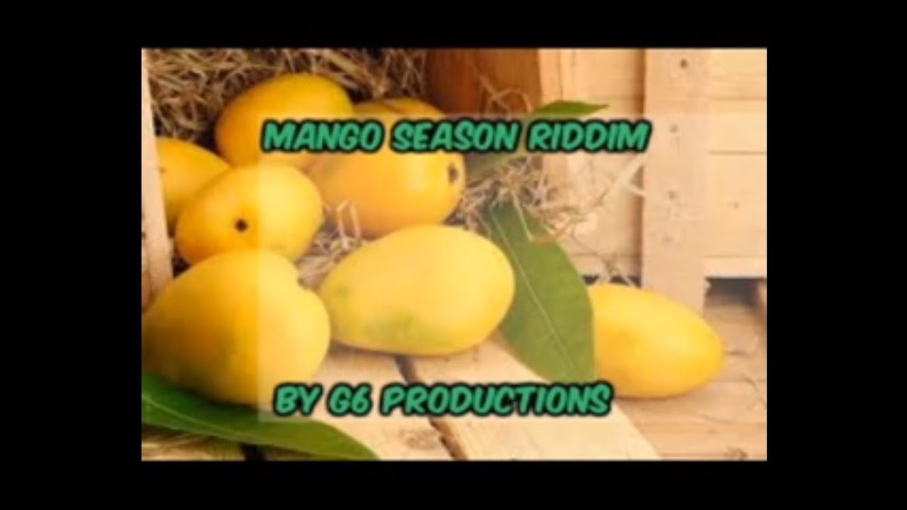 DJ Terror Mango Season Riddim Mix[G6 Productions] - YouTube