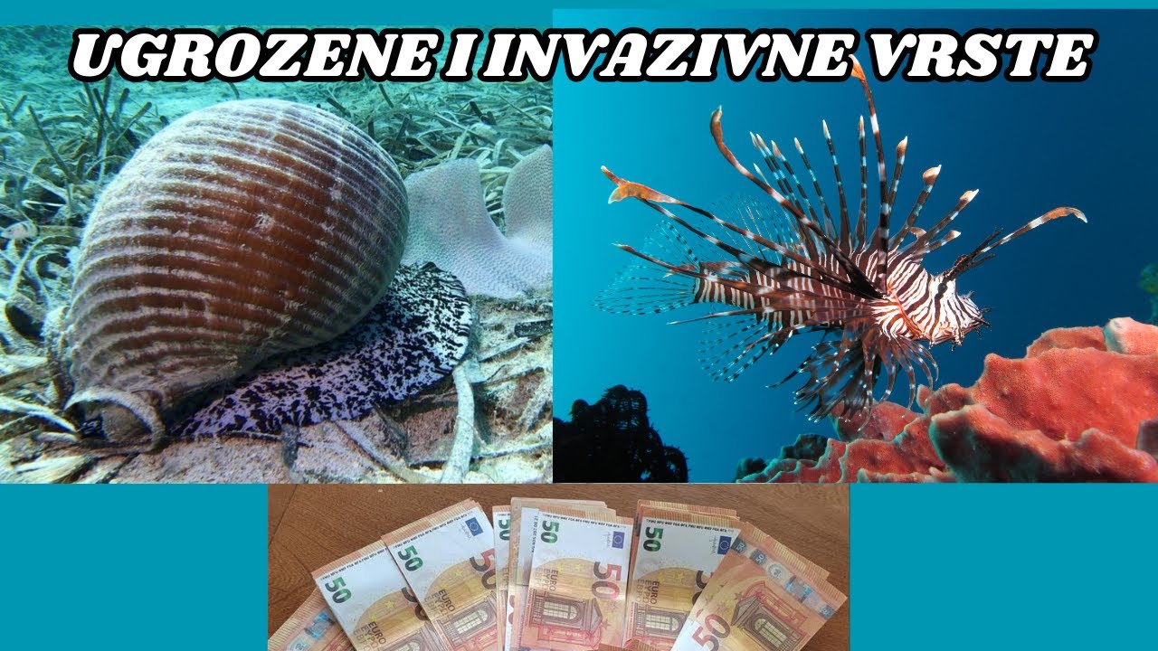 UGROZENE I INVAZIVNE VRSTE NA CRNOGORSKOM PRIMORJU!!! - YouTube