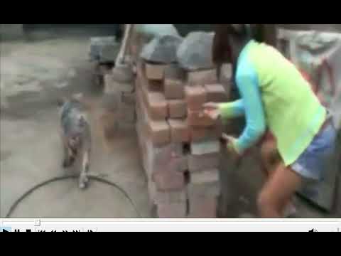 women before slaughtering pigs