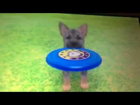 Nintendogs + Cats|How to get better at disc - YouTube