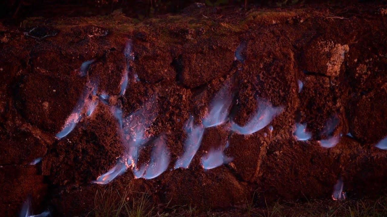 Blue flames from methane gas seen near Hawaii's Kilauea volcano - YouTube