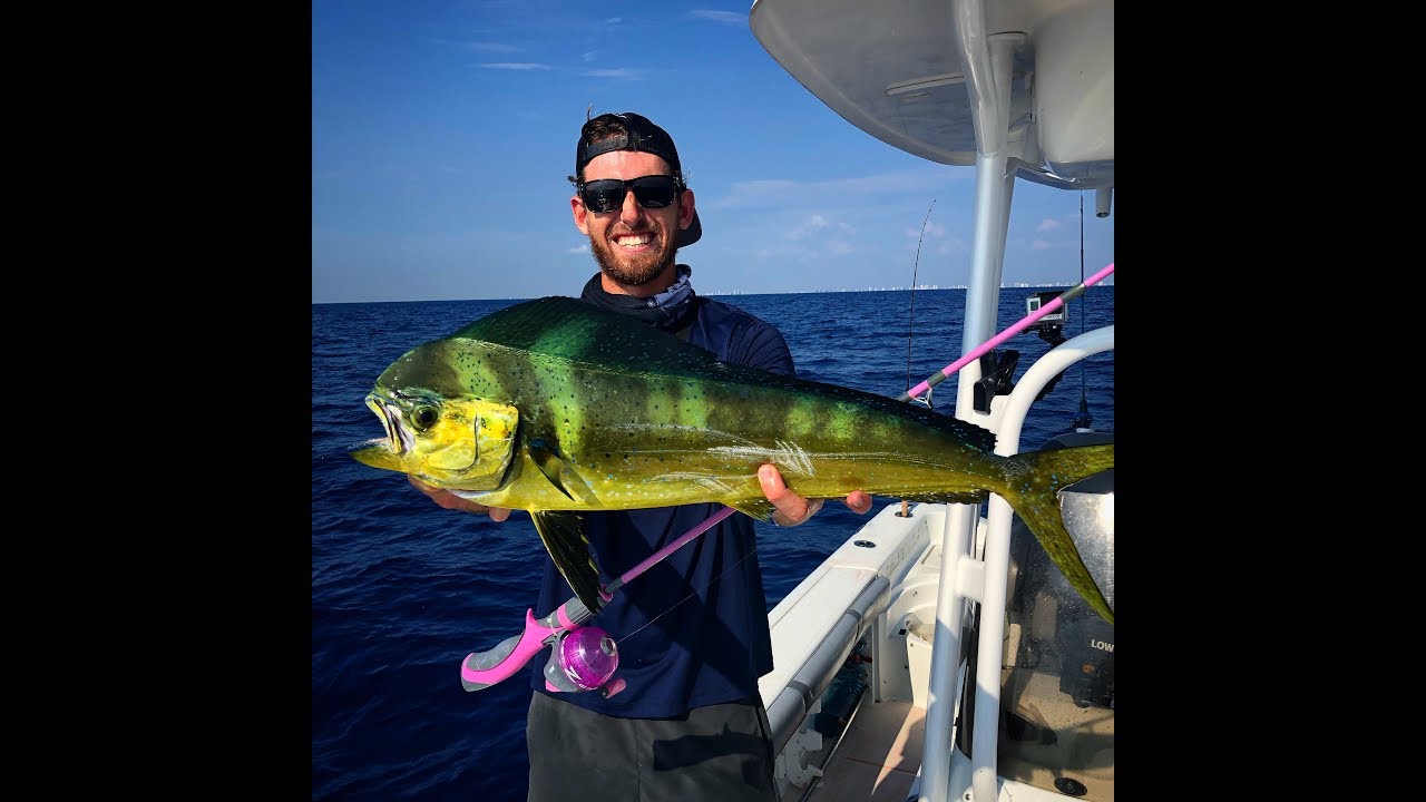Dolphin Fishing with BARBIE RODS!! (A MUST SEE) - YouTube